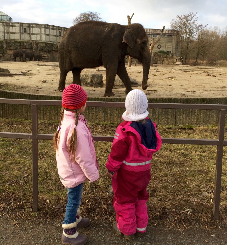 Familienausflug in den Zoo Berlin: Popelnde Paviane inklusive